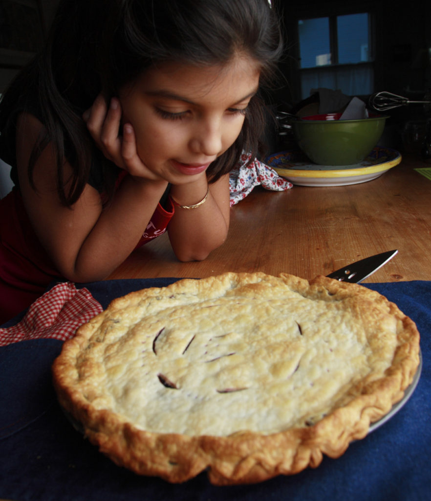 Best Blueberry Pie – Spatulatta